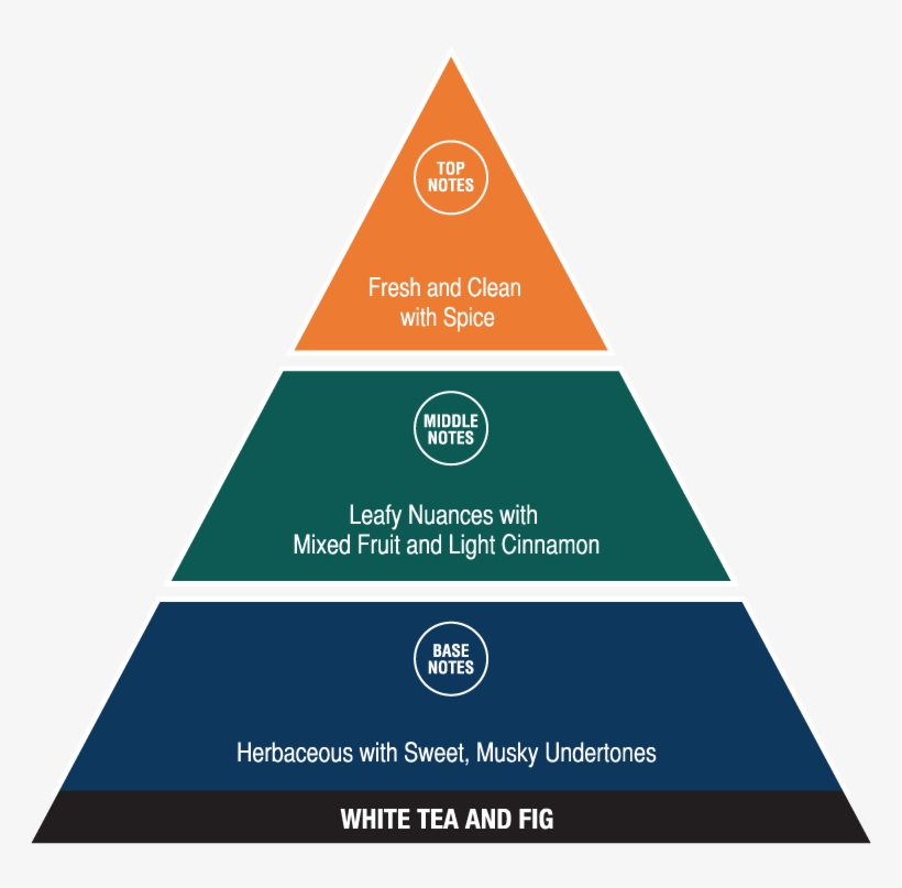 White Tea And Fig - Social Structure Of The Usa - 782x734 PNG Download ...