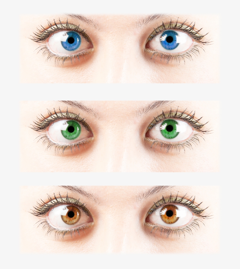 A “broken” Allele Can Have A Dominant Inheritance Pattern - Inherited ...