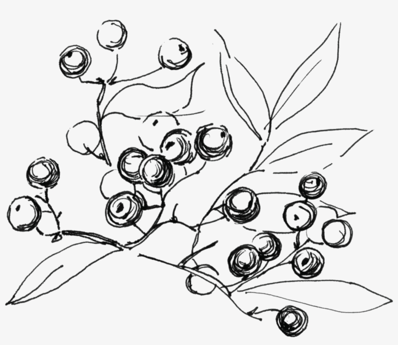 Svg Freeuse Library Temporary Tattoo Black Twig With - Sketch ...