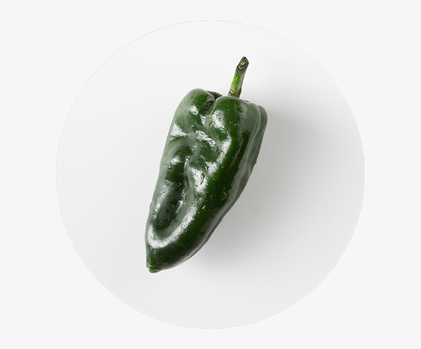 Pasilla - 600x600 PNG Download - PNGkit