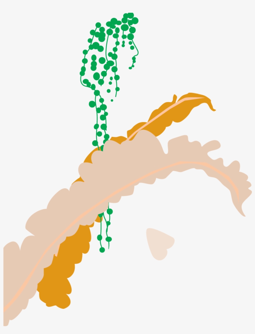 Bloomscape Emina Fern - Illustration - 961x1306 PNG Download - PNGkit