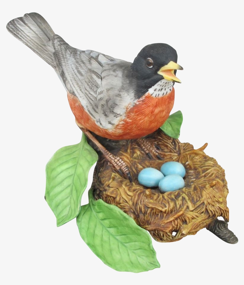 American Robin Clear Background - 876x876 PNG Download - PNGkit