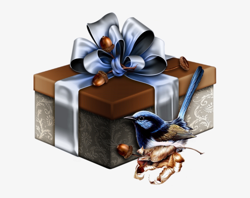 Wrapping Paper - 600x570 PNG Download - PNGkit