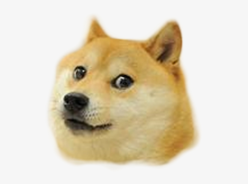 Shiba Meme - 600x600 PNG Download - PNGkit