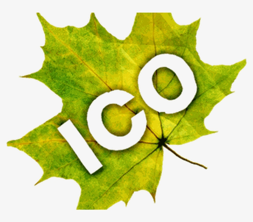 Icon Pack Android - Maple Leaf - 800x640 PNG Download - PNGkit