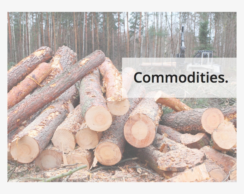 Commodities Forecast, Forest Products - Dms - 770x573 PNG Download - PNGkit