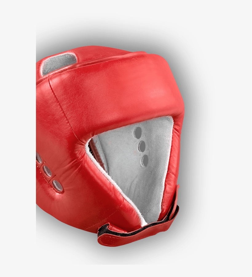 Download Transparent Gladiator Fight - Boxing - PNGkit