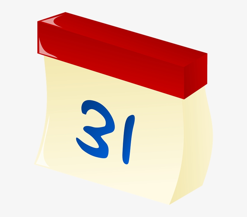 Junior Year College Prep Timeline - Year Icon - 595x640 PNG Download ...