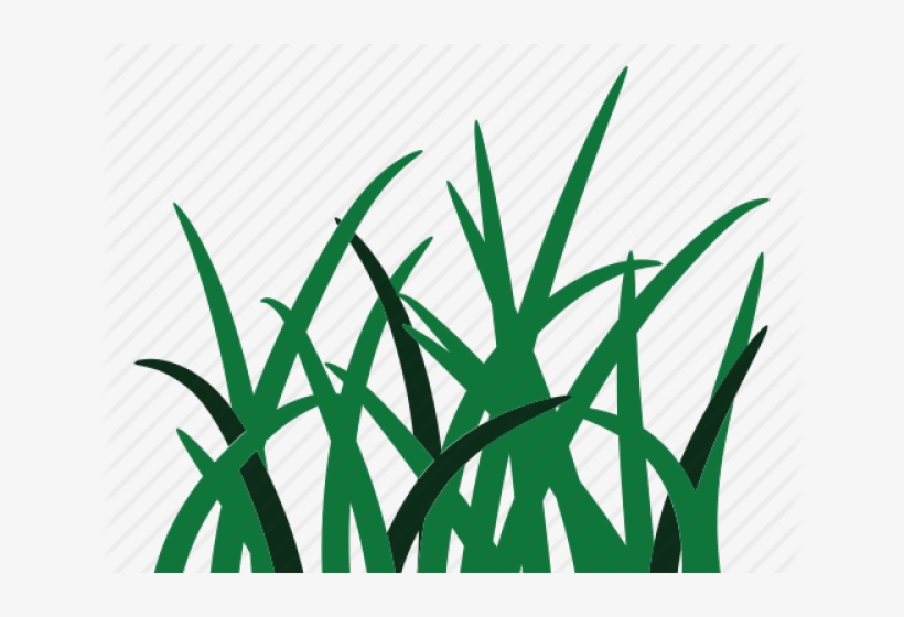 Weed Clipart Grass Root - Grass Icon Png - 640x480 PNG Download - PNGkit