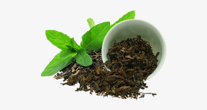 Download Transparent Green Tea Tea Leaves - PNGkit