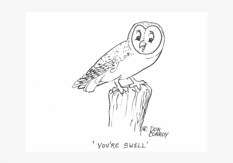 Barn Owl Youre Swell - Sketch - 888x493 PNG Download - PNGkit