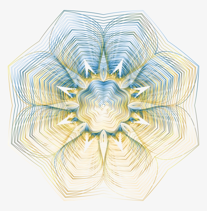 Prismatic Floral Line Art 5 No Background - Drawing - 758x758 PNG ...
