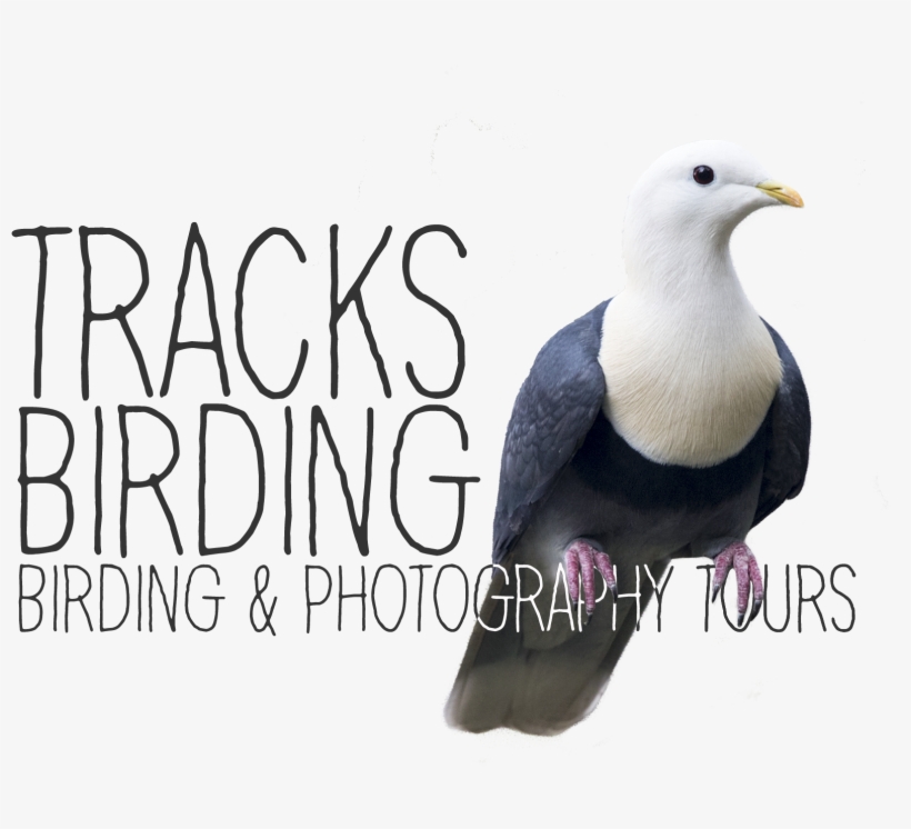 All Rights Reserved - Logo - 1657x1657 PNG Download - PNGkit