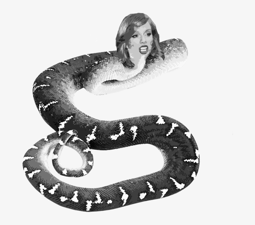 Say Goodbye To The Old Taylor Swift, An Innocent Teenager - Snake ...