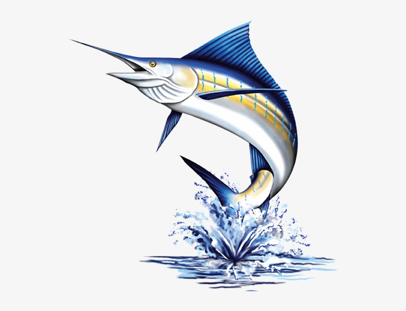 North Seas - Ocean Joyuda - 578x578 PNG Download - PNGkit