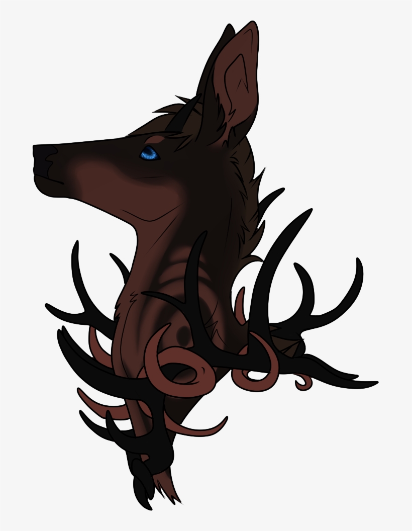 Antler Wreath, Made Of One Of Naoki's Fallen Antlers - Massachusetts ...