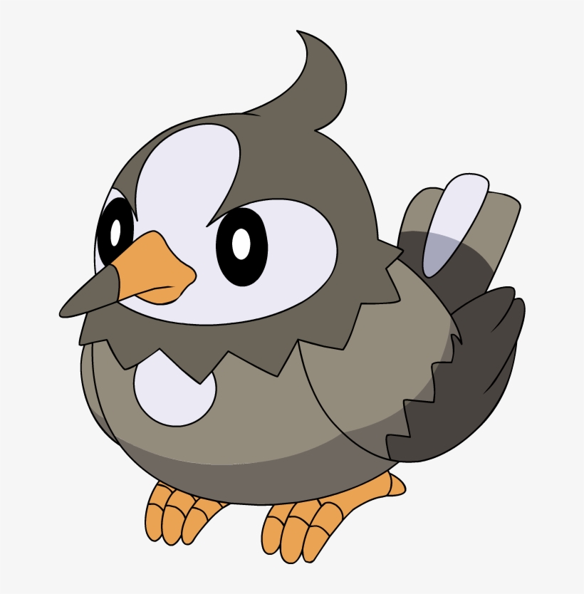 396starly Dp Anime - Draw Pokemon Starly - 660x754 PNG Download - PNGkit