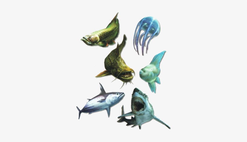 Mh3-fishes - Monster Hunter Tri Monster - 320x400 PNG Download - PNGkit