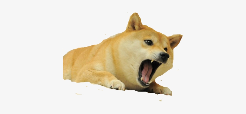 Doge Transparent Png - Transparent Doge - 420x367 PNG Download - PNGkit