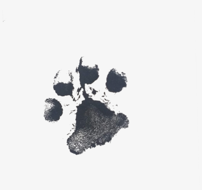 This Png Transforms Into - Tree - 4160x3120 PNG Download - PNGkit