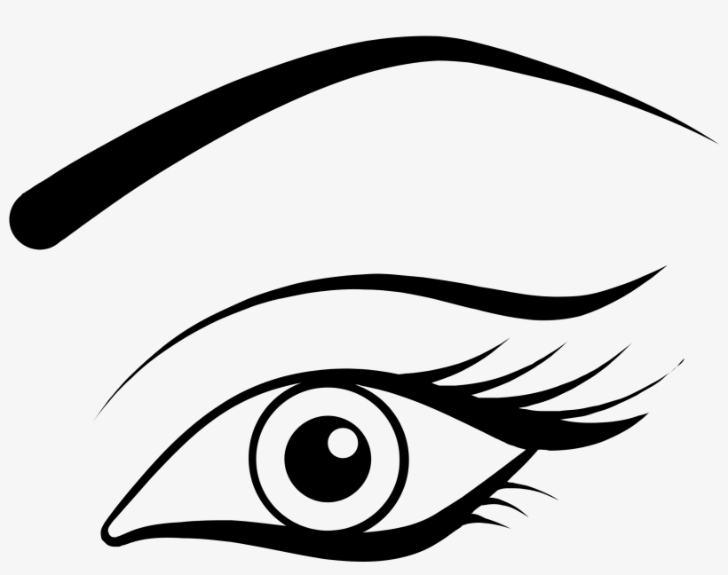 Eyebrow - 2560x2560 PNG Download - PNGkit