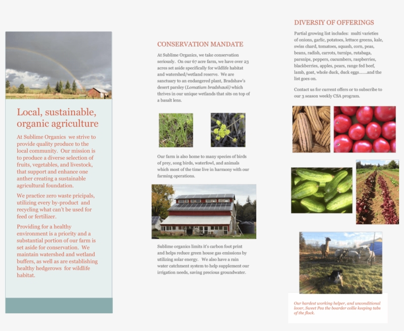 Leaflet-2 - Tree - 1280x995 PNG Download - PNGkit