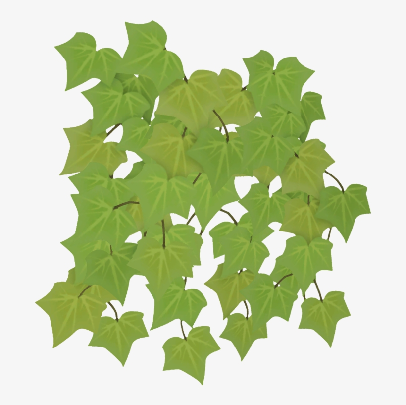 Ivy - Maple Leaf - 768x768 PNG Download - PNGkit