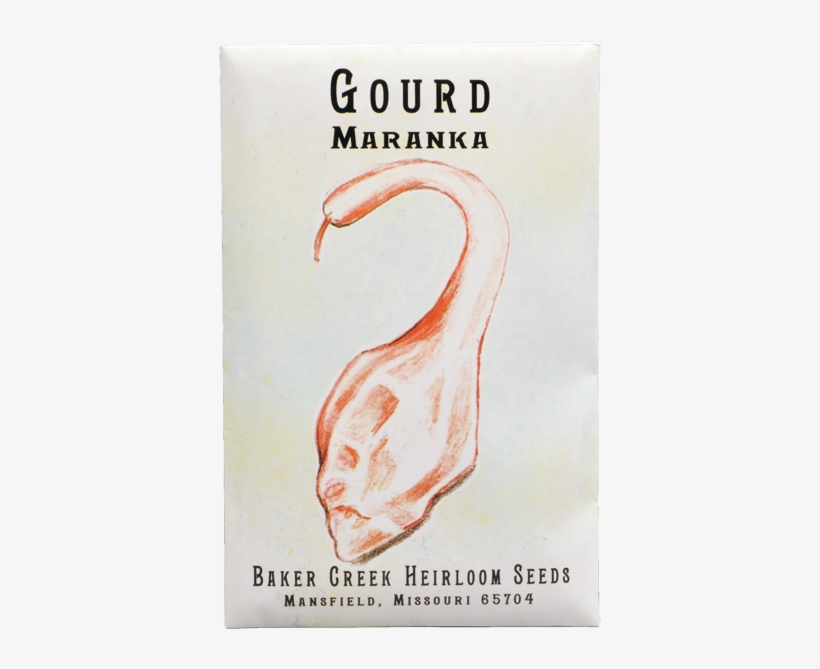 Gourd Seeds - Giant Pacific Octopus - 1200x600 PNG Download - PNGkit