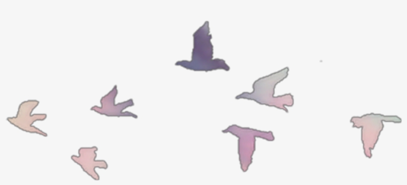 Ftestickers Birds Flock Colorful Pink Purple - Easy Black Bird Drawing ...