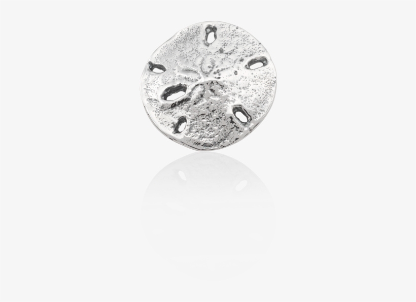 Sand Dollar Lapel Pin - Diamond - 1520x1020 PNG Download - PNGkit