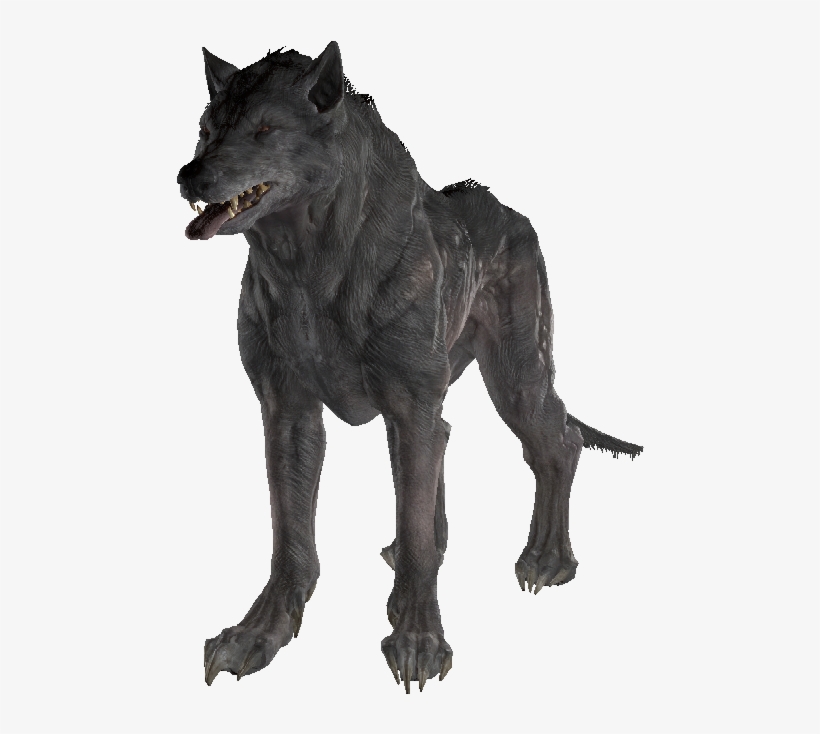 The Vault Fallout Wiki - Feral Wolf Fallout - 729x667 PNG Download - PNGkit