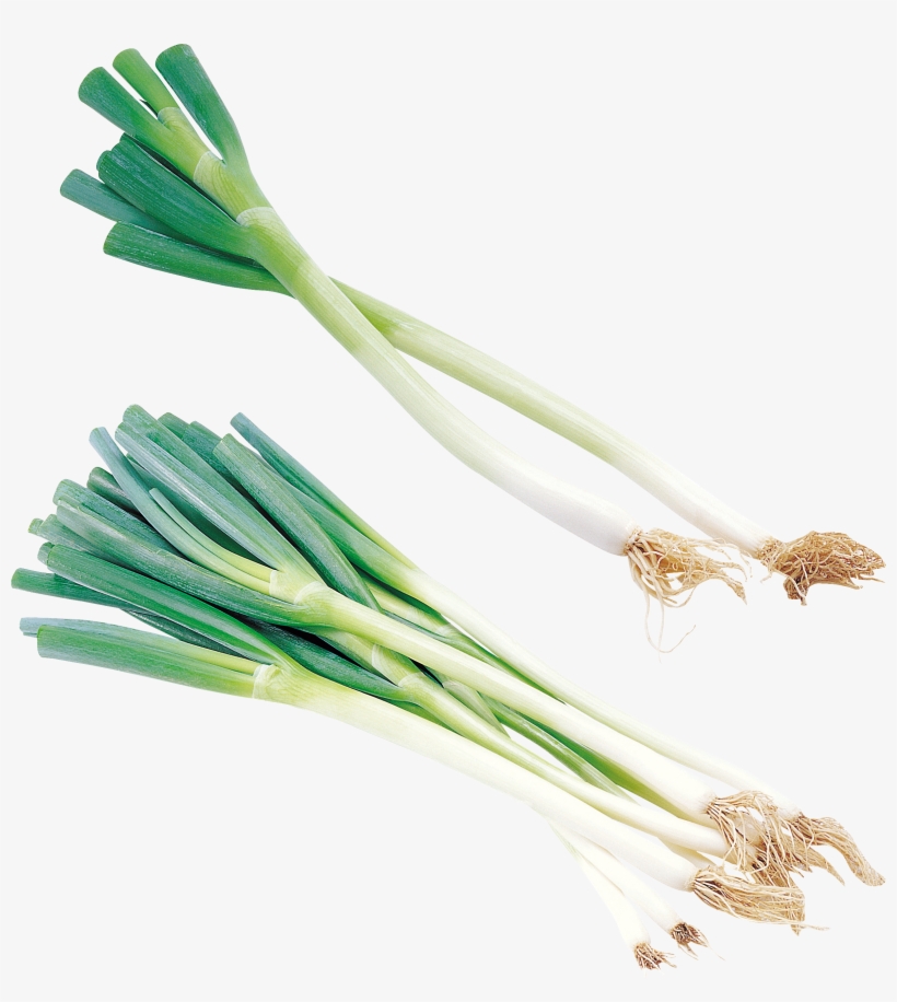 Leek Png - Welsh Onion - 2354x2517 PNG Download - PNGkit