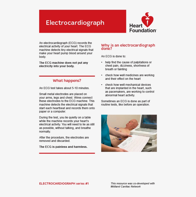 Brochure - 750x750 PNG Download - PNGkit