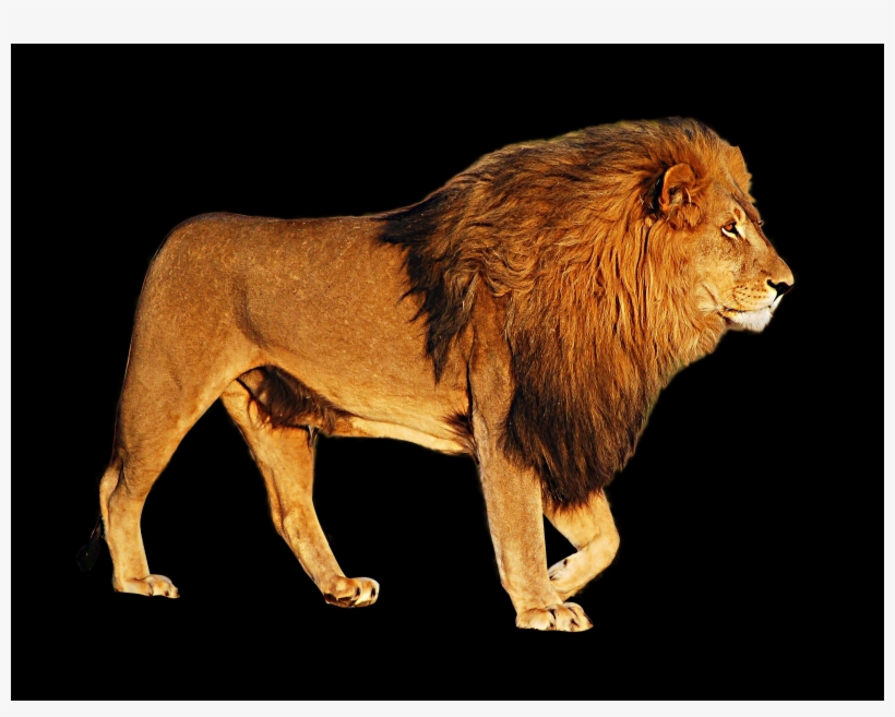 Download Transparent Biggest Png Collection On The Net - Full Color ...