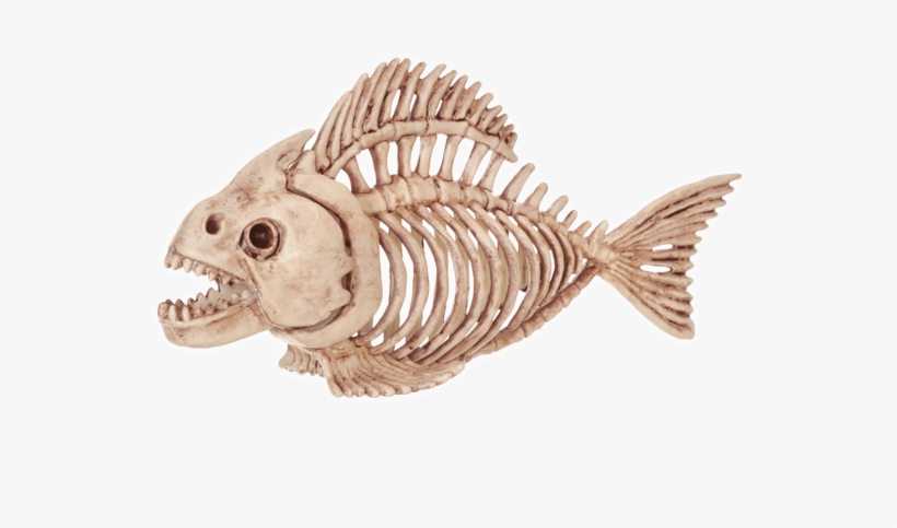 Skeleton Fish - Fish Skeleton Halloween Decoration - 650x433 PNG ...