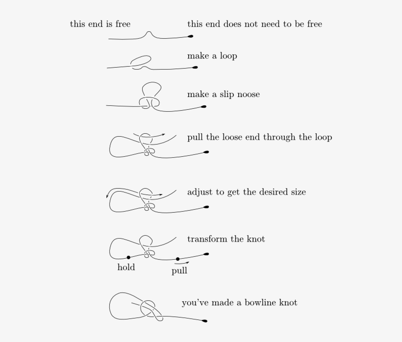 Fast Bowline Tying Method - Bowline - 550x633 PNG Download - PNGkit