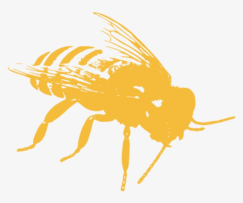 Pollinator Toolbox, Honeybee Icon - Pollinator Symbol - 850x734 PNG ...