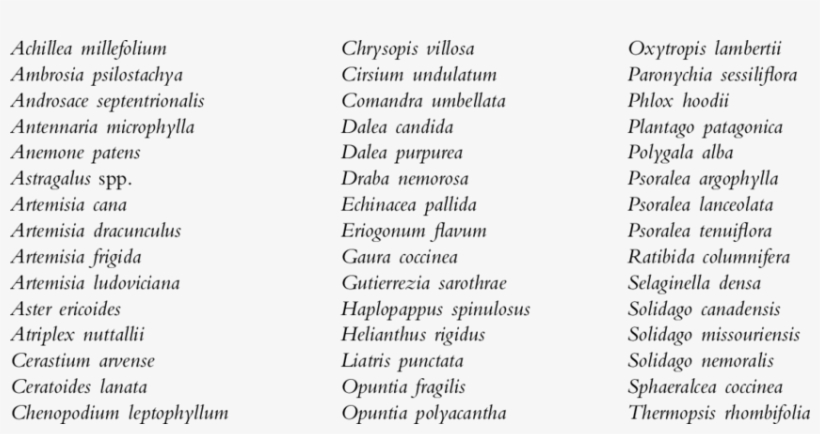 Common Forbs And Low Shrubs In The Northern Great Plains - Types Of ...