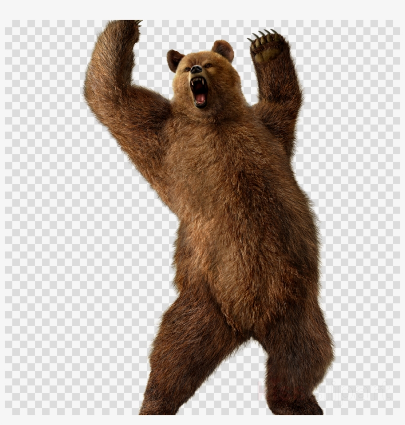 Download Grizzly Bear Transparent Png Clipart Grizzly - Red Ball ...