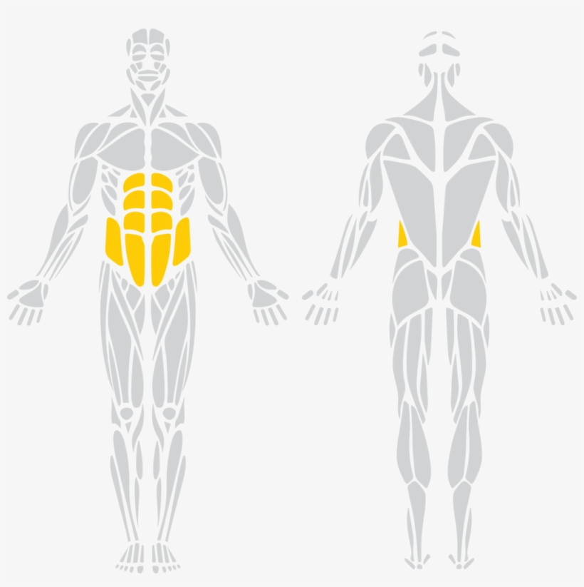 Abdominals “abs” - 1000x955 PNG Download - PNGkit
