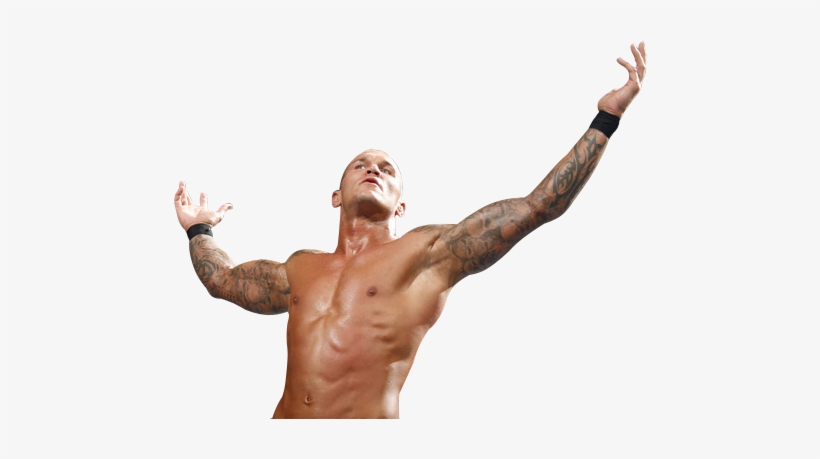 Randy Orton Resolution - Randy Orton Rko Transparent - 540x389 PNG ...