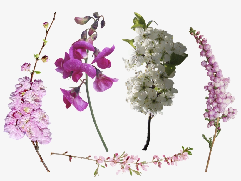 Photoshop Overlays, Photoshop Actions, Photoshop Tutorial, - Overlay ...