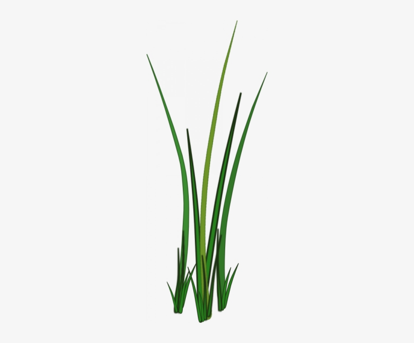 Grass Texture Alpha