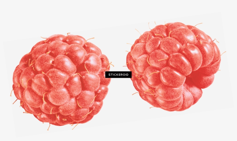 Raspberry Duo Vintage - Portable Network Graphics - 3153x1727 PNG ...