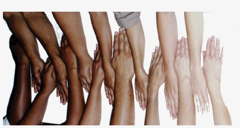 Transparent Skin In Humans - 923x449 PNG Download - PNGkit