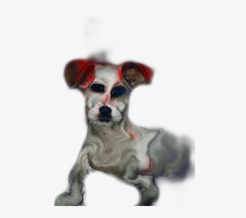 Doge Png - 480x646 PNG Download - PNGkit