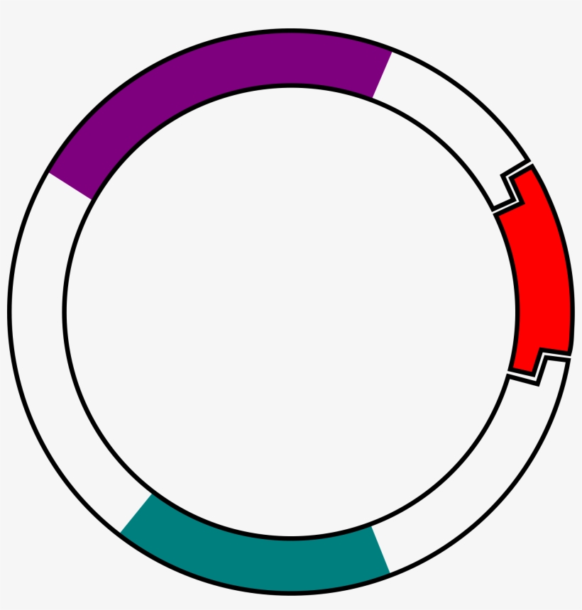 Dna Clipart File - Plasmid Clipart - 2000x2000 PNG Download - PNGkit