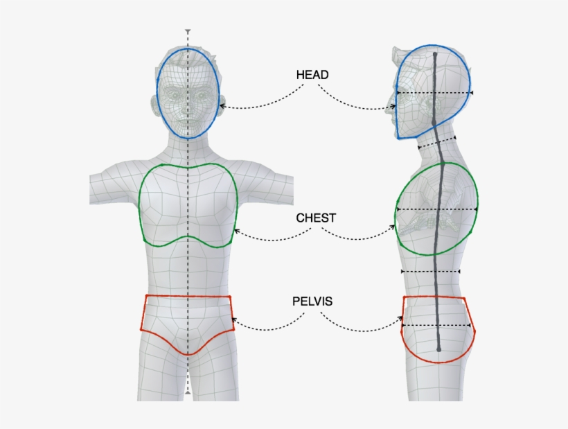 Download Transparent Torso Landmarks - Diagram - PNGkit