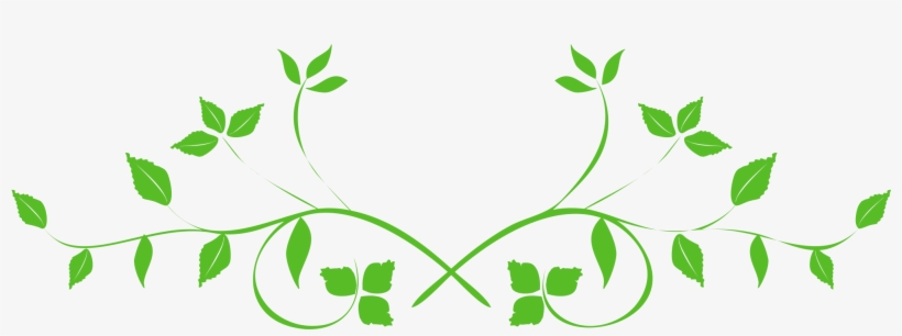 Leaf Swirl Png Background Image - Leaf Swirls Png - 1024x356 PNG ...