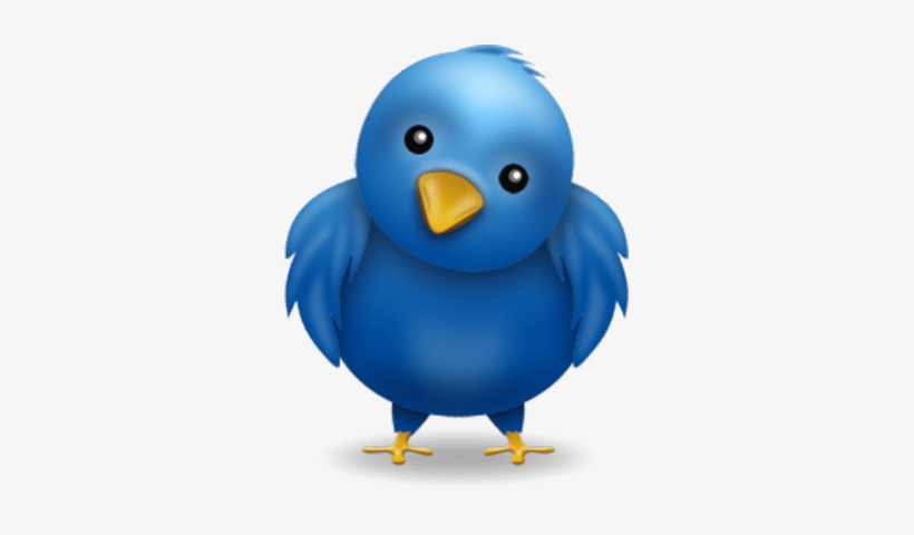 Twitter Bird Png Transparent